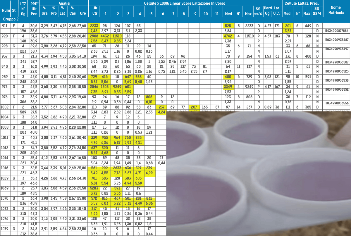Ways to reduce somatic cell count in cows without antibiotics – CNT ...